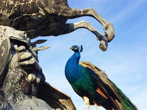 7 Tips For Using Framing Composition Techniques In Your Iphone Photos