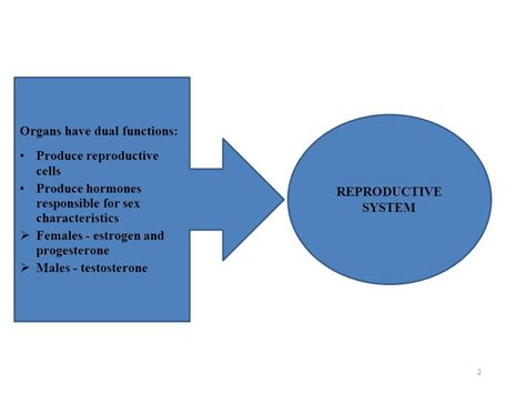 SEXUALITY CONCEPT IN NURSING Ppt Video Online Download