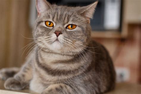 Nodejs Tips — Overwrite Files Post Request And Run Async Code In