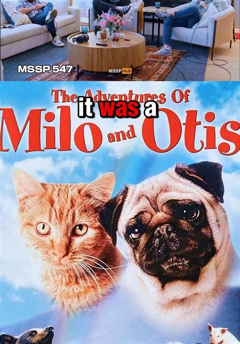 Milo And Otis Quotes L C460b1787e714da4847018abd692fb25 Bianca