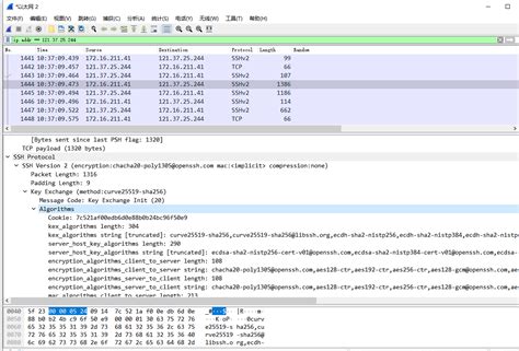 ssh流量分析 csdn博客