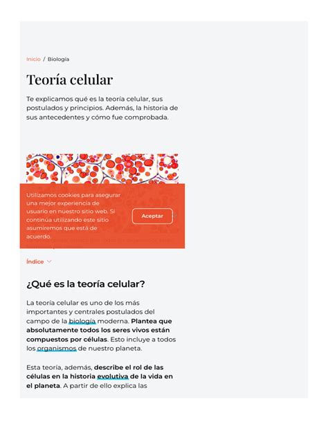 Teoría Celular Concepto Historia Postulados Y Principios Pdf