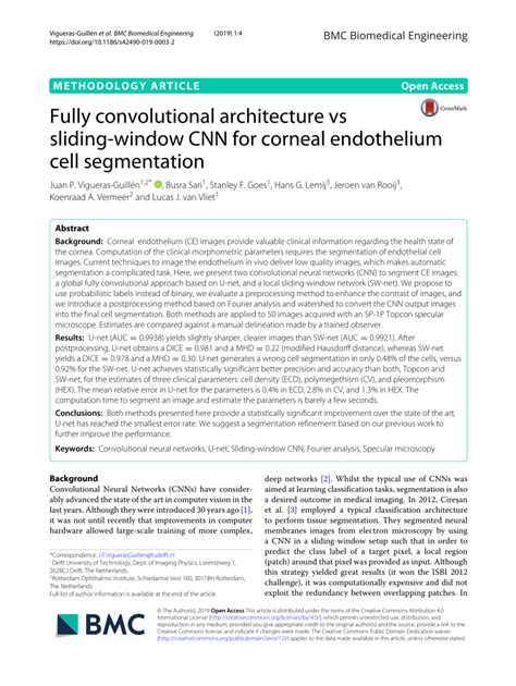 Pdf Fully Convolutional Architecture Vs Sliding Window Cnn For Corneal Endothelium Cell