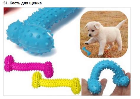 Кость для щенка кость смешные картинки фото приколы щенок смешные картинки и другие