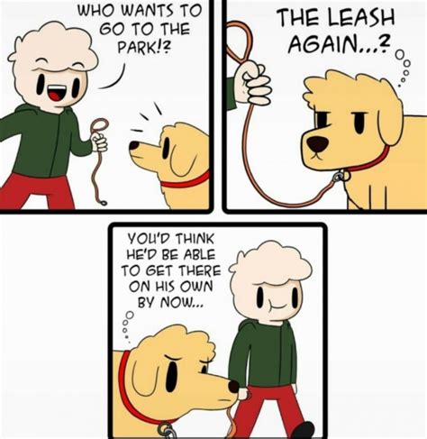 Stoopid Hooman Meme By Cliffy 99 Memedroid