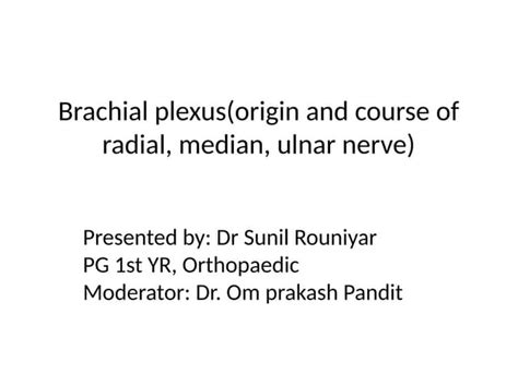 Brachial Plexus Origin And Course Of Radial Median Pptx
