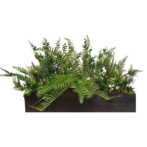 Woodland Window Box 50cm Evergreen Direct