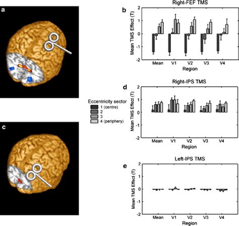 A And B TMS Over Human Right FEF Induces A Characteristic Pattern Of Download Scientific