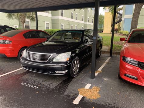 My Ls Sittin Pretty Scrolller