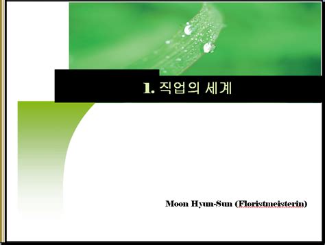 12월 공개강좌 직업의 세계 문현선 플로리스트 아카데미 자료실 문현선 플로리스트 아카데미 동양최초 플로리스트마이스터 문현선