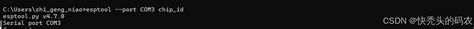 使用esptool工具备份esp32的固件（从芯片中备份下来固件） Csdn博客