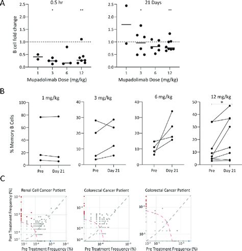 B Cell Dynamics In Patients With Advanced Cancer Treated With