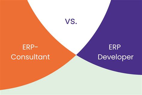 Erp Consultant Vs Erp Developer Anaptis Blog
