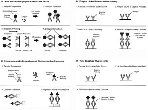 Immunological Methods For Detection And Identification Of Infectious