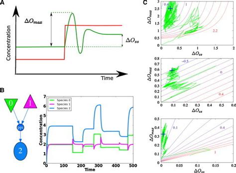 Computational Evolution Of Adaptation A Definition Of Two Functions