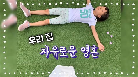 우리집 자유로운 영혼 Youtube