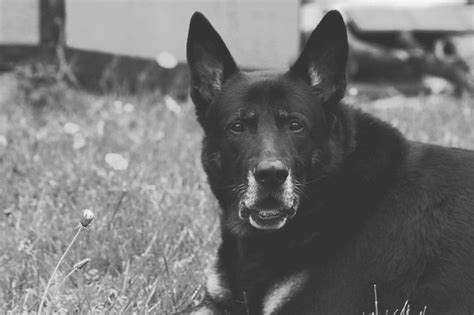 Ruby Ewing Photography Added A Ruby Ewing Photography