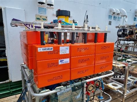 Can You Spot Mini Diver Blogs At Noc