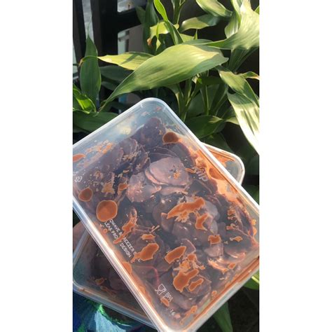 Jual Banana Chips Coklat Lumer 500 Ml Shopee Indonesia