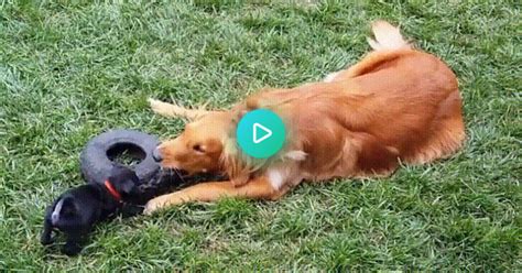 Hey Thats Cheating  On Imgur