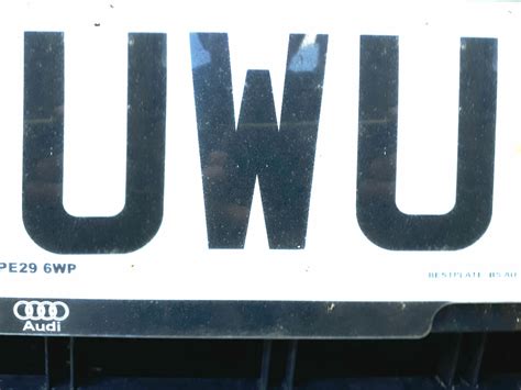 Uwu R Furry