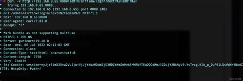 漏洞复现 49、apache airflow 身份验证绕过 cve 2020 17526 csdn博客
