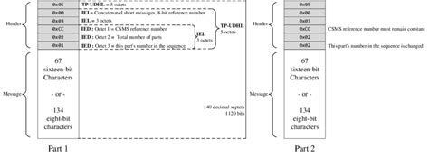 structure of two messages of a set of concatenated messages with an