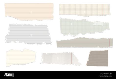 Ripped Note Paper Scraps Of Lined And Squared Notebook Papers Realistic Pieces With Torn Edges