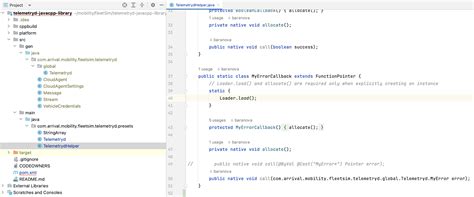 problem with std string view as callback parameter · issue 606
