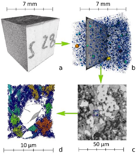 the dataset in sequence of data acquisition a µ ct volume with mapped