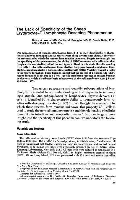 The Lack Of Specificity Of The Sheep Erythrocyte T Lymphocyte Rosetting