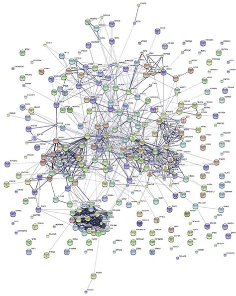 String Analysis Of The Xtandem Results From The Combined Ah And Amh