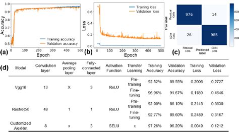 performance of customized alexnet model a training and validation