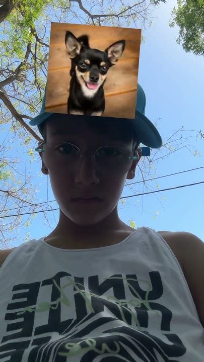 רואה בלגי Youtube