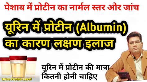 Urine Protein Cause And Proteinuria Normal Range And Treatment Youtube