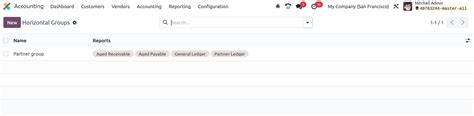 Defining Horizontal Groups Odoo 17 Accounting Book