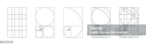 Golden Ratio Template Method Golden Section Mockup Fibonacci Array