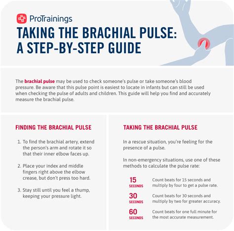 How To Check A Pulse Protrainings