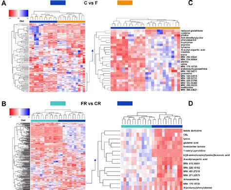 Metabolomic Analysis Of Frontal Cortex A Heat Map Hierarchical