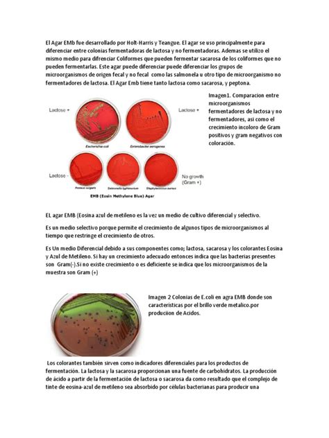 Agar Emb Pdf Escherichia Coli Microbiología