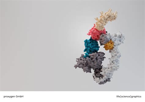 Proxygen Gmbh Life Science Graphics