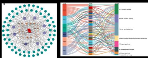 Analysis Of The Component Target Pathway Network A Download