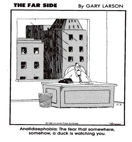 Look At Me 9 Post Retirement Far Side Comics Thefarside