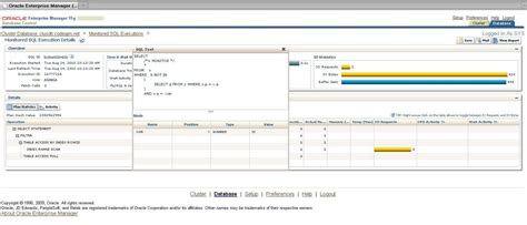 A Help Real Time Sql Monitoring To Capture Bind Variables Values
