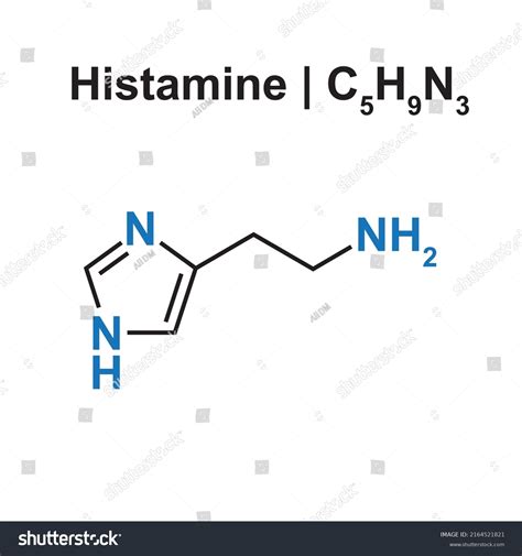 Histamine Molecule C5h9n3chemical Structure Vector Illustration Stock Vector Royalty Free