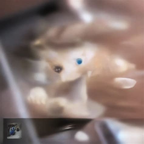 Nicu Feeding Assessment Webp