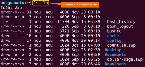 File Information And Metadata Linuxsimply