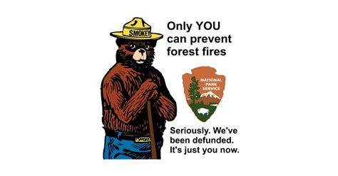 Only You Can Prevent Forest Fires Defunded Smokey Bear Only You Can