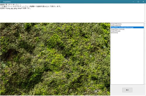 Python 画像表示ツール│pgming Ctrl Python 画像表示ツール│pgming Ctrl