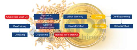 Innovative Rice Bran Oil Refining Process To Effective Production